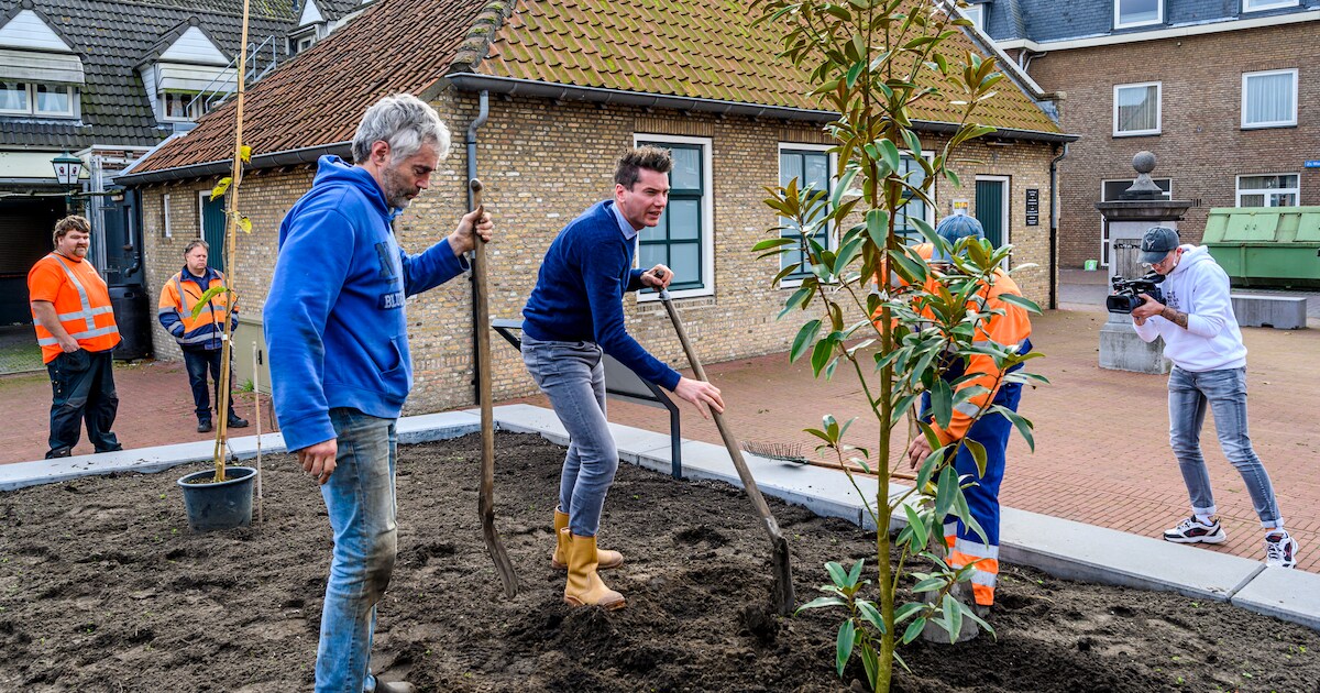 Ossendrecht krijgt kleurrijke wandelroute: komend voorjaar genieten van ...