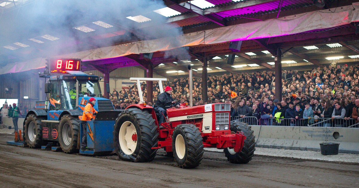 Trekker-trek in Etten-Leur zit met 2600 bezoekers aan de max: ‘Het is haast een festival zo ...