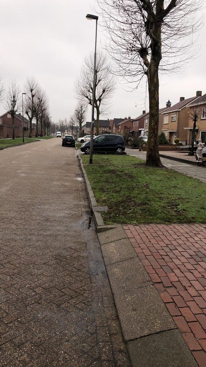 Auto's Sweet Caroline Cars ‘bij een kennis’ | Roosendaal | bndestem.nl
