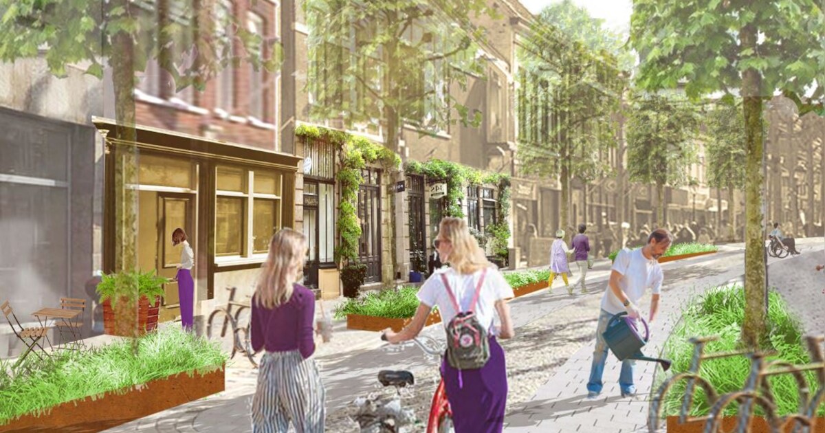 Groen licht voor compacte Bergse binnenstad | Bergen op Zoom | BN DeStem.nl