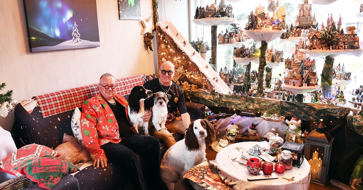 In het huis van Peter en Rob is het echt ‘Jingle all the way’ | Regio ...