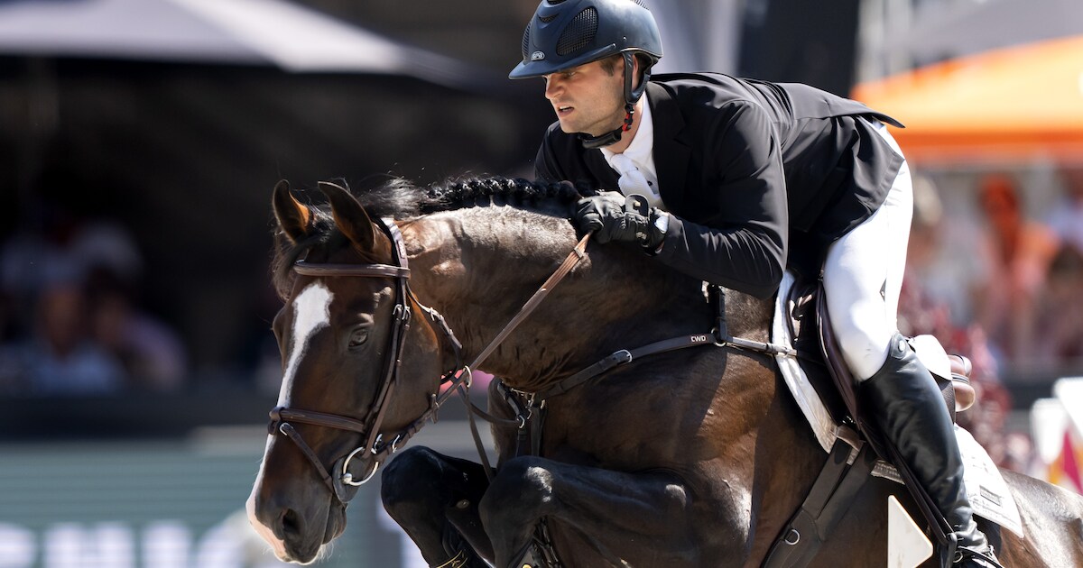 Moerings vindt eindelijk de juiste knoppen bij hengst Ipsthar: ‘Als paard huiswerk niet maakt ...