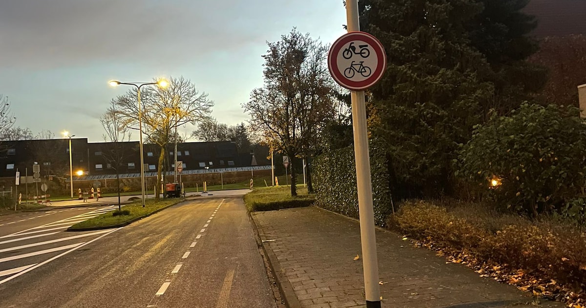 Bergen herstelt fout met fietsstrook op Pomonalaan: ‘Deze week halen we ...