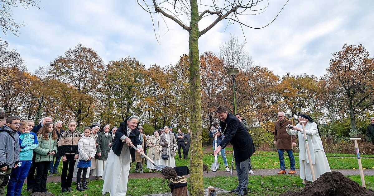 Honingboom van Wouw maakt een eind aan mooi feestjaar voor zusters ...