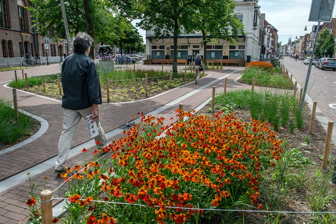 Breda zet door met groene straten en pleinen, al lukt dat niet overal ...