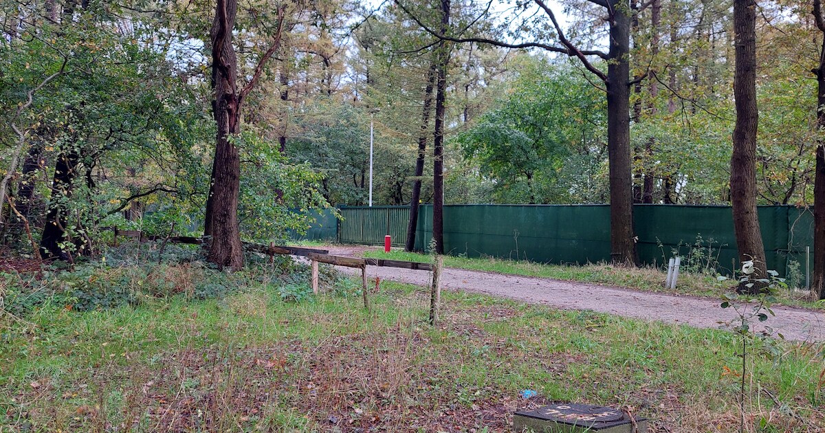 Jarenlang was een stuk Rijsbergse grond vervuild door drugsafval, nu ...