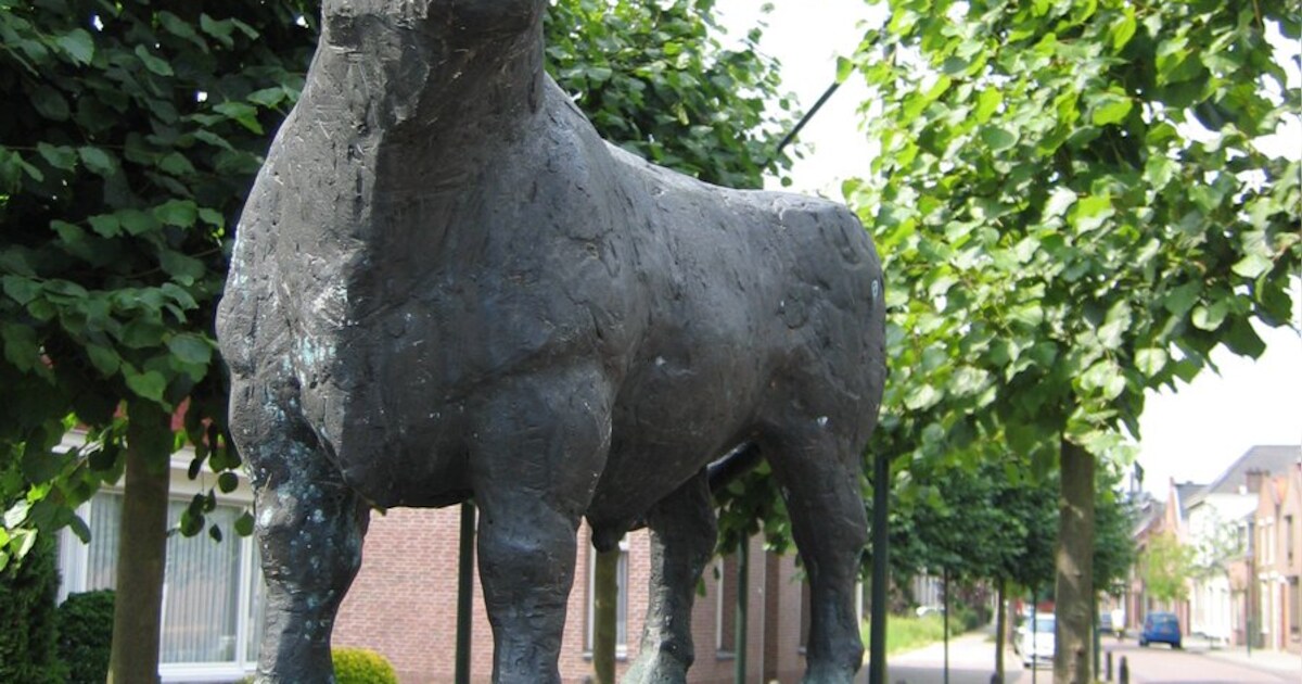 Ossendrecht weer ‘osloos’ tot komst nieuwe Bronzen Os | Bergen op Zoom ...