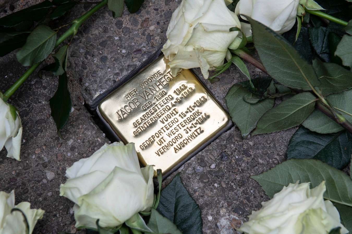 Bredase moeder liet haarJoodse man oppakken door de nazi’s - en verloor ...