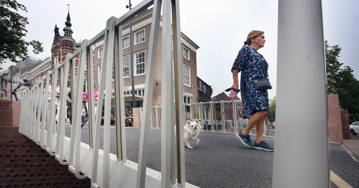 Gloednieuwe Bredase brug die 125.000 euro kostte, zal worden aangepast ...