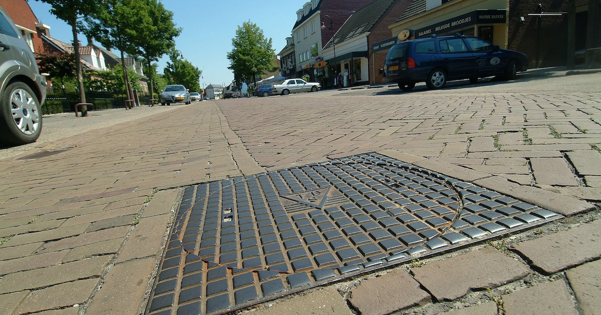 Stank niet te harden in Oosterhoutse wijk: grote brok vet verstopt ...