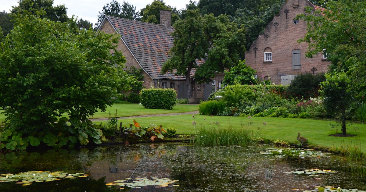 Rucphen versoepelt regels om te bouwen en verbouwen | Roosendaal | BN ...