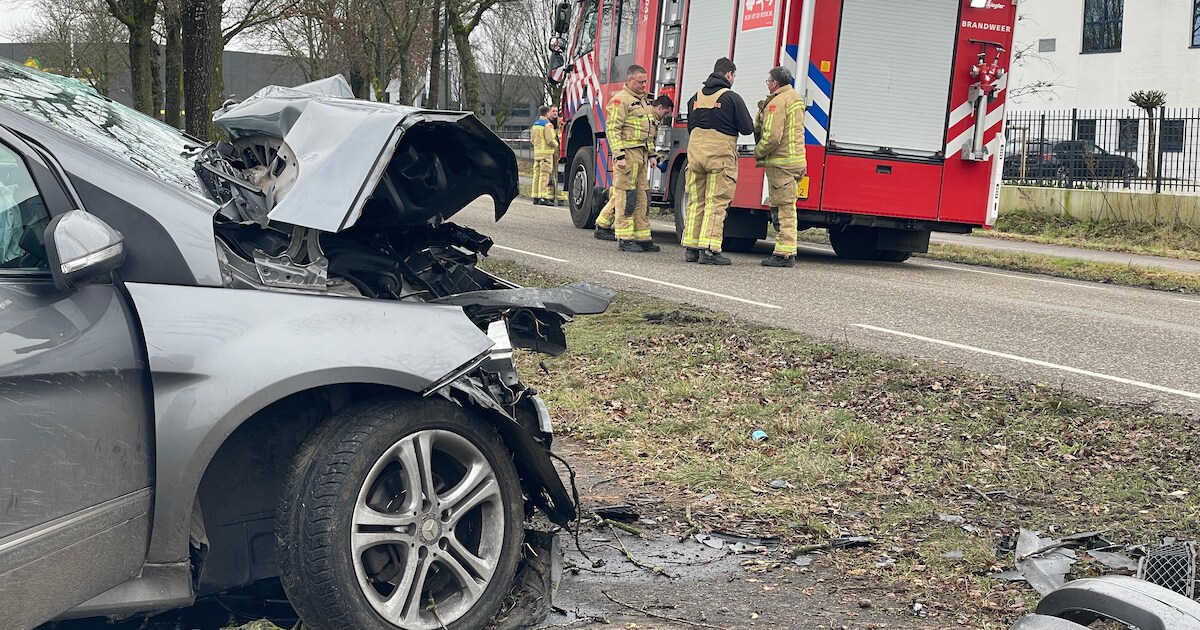 Automobilist (81) uit Budel overlijdt bij botsing tegen boom | Brabant | bndestem.nl