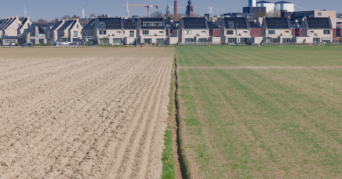 Droogte leidt tot extra maatregelen in West-Brabant: ook ...