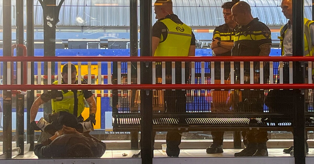 Aanhouding na diefstal in Den Bosch: man tegen de grond gewerkt door ...