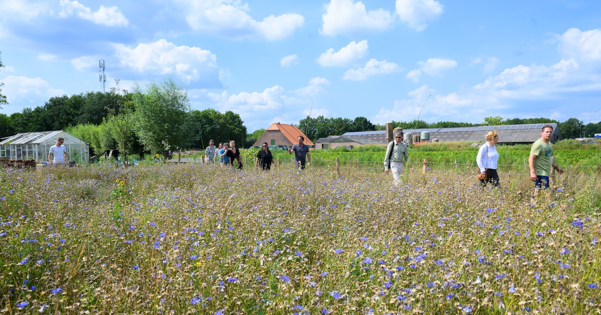 Brabantse natuur herrijst achter de boerderij van Joeri en Angela | Oosterhout | BN DeStem.nl