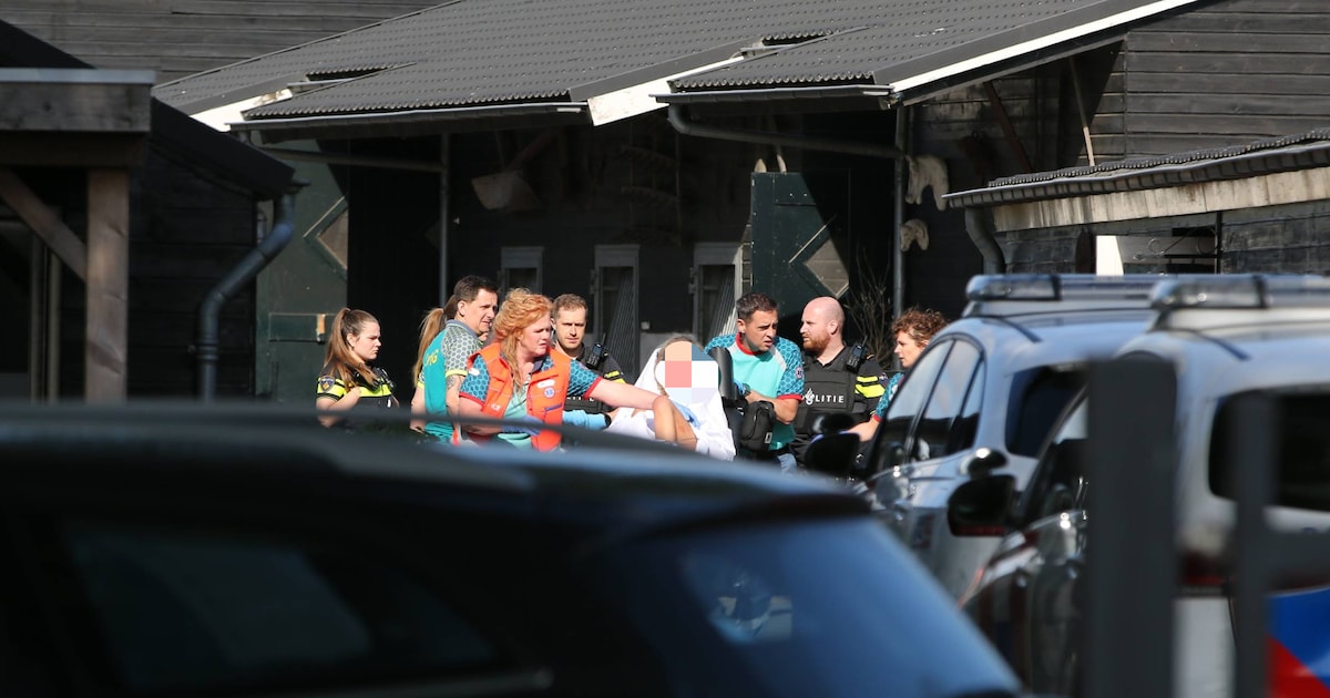 Dode na schietincident lag in verhuurde studio van FDF-voorman Mark van ...