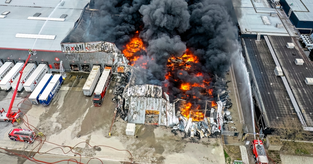 Verwoestende brand bij familiebedrijf Axell Logistics in Etten-Leur: ‘Enorm geschrokken en ...