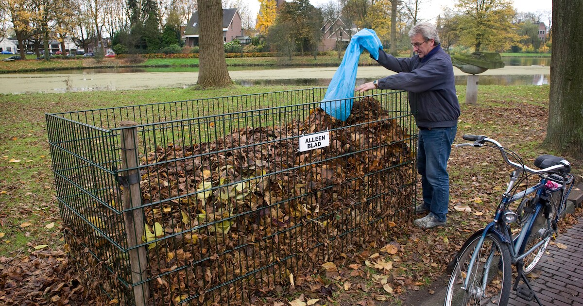 Bladkorven geplaatst in Gilze en Rijen | Regio | BN DeStem.nl