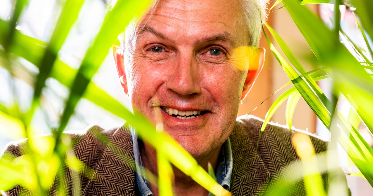 Dit kunnen wij leren van onze planten | Nieuws | BN DeStem.nl