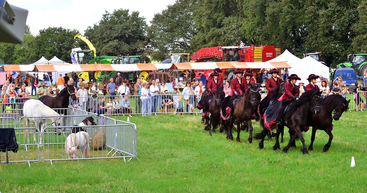 De boer is weer troef in Woensdrecht met Tractorendefilé en Boerendag ...
