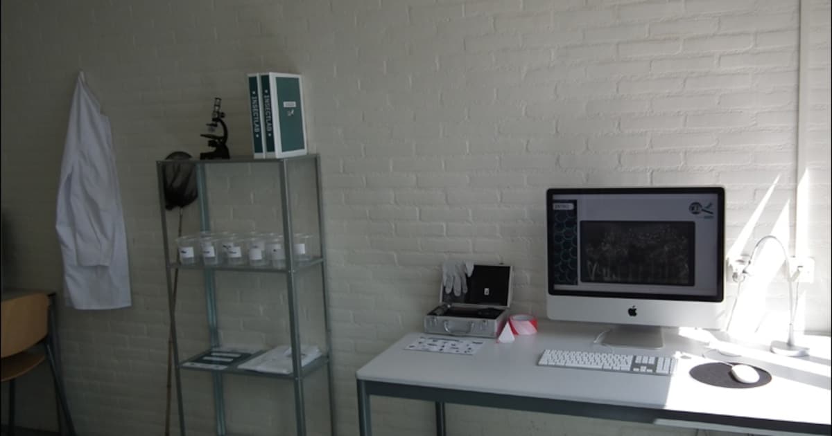 Eindexamen-expositie Avans CMD | Regio | BN DeStem.nl