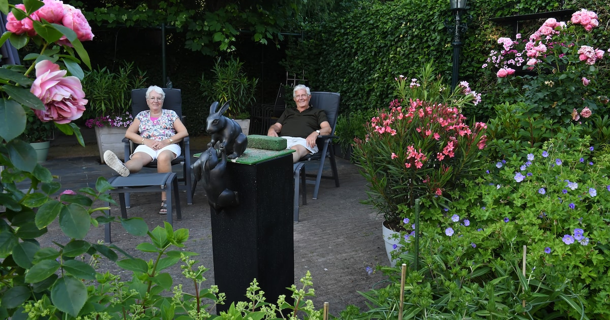 Niet elke plant is welkom in de tuin van Jan (82): ‘Bonita’s eruit en ...