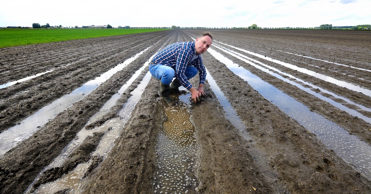 Boer in Kruisland pompte zelf zijn sloten leeg: ‘Ergens klopt het niet ...