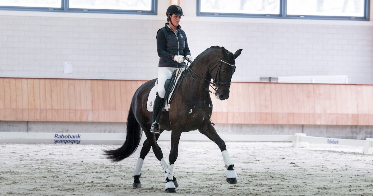 Dominique Filion wil met Wenicienta naar de wereldtop | Regiosport ...