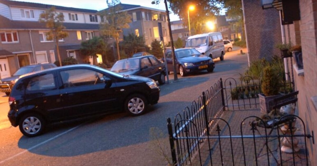 Parkeren is zeker niet altijd een probleem | Breda | bndestem.nl