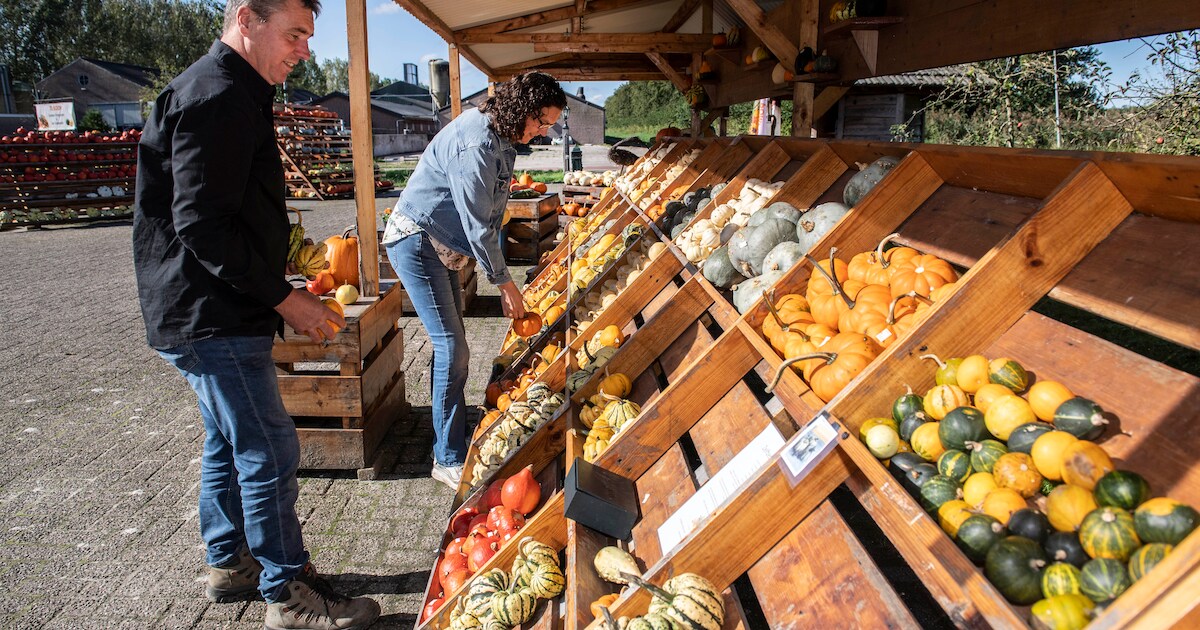 Van een paar zaadjes tot duizenden exemplaren: zo groeide het ...