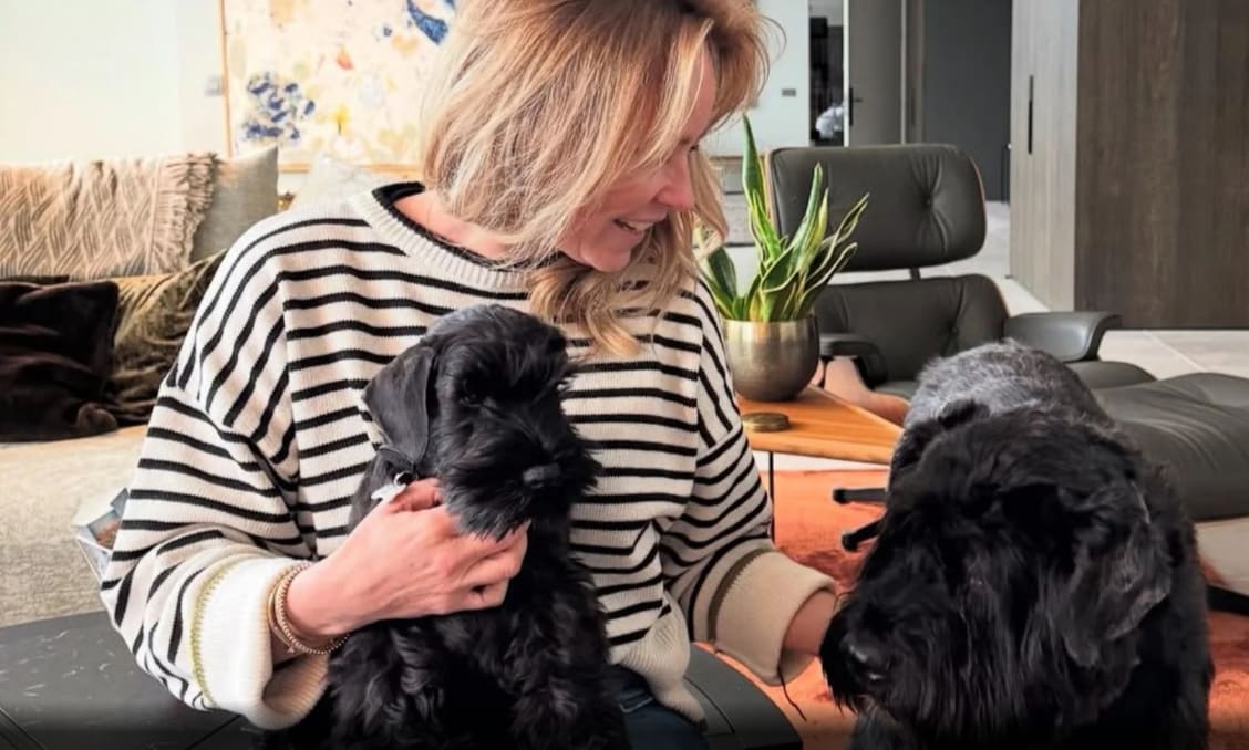 Vrouw van mediamiljonair Gert Verhulst haalde nieuwe hond op in Best ...