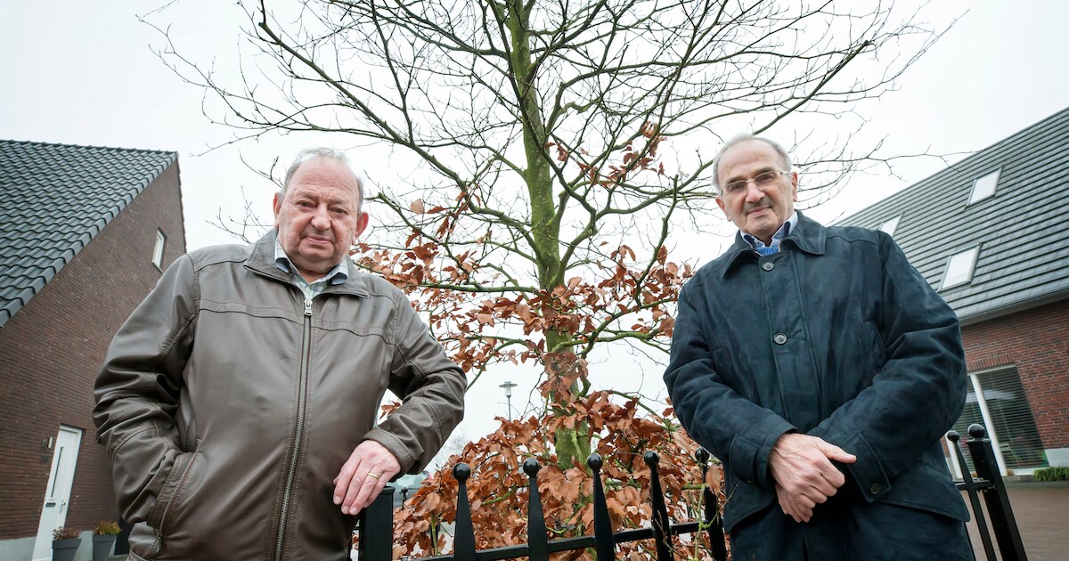 Tweelingbroers (80) strijden tegen gemeente voor eerherstel gesneuvelde ...