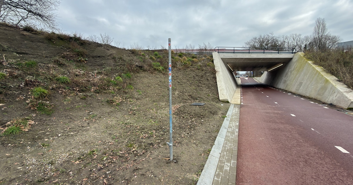 Bordje Tullepetaonepoort na nog geen week gestolen: ‘Toont aan dat het ...