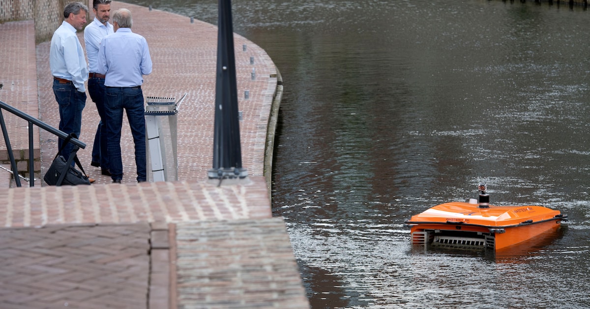 Afvalvretende haai losgelaten in de Bredase singels: ‘Na het weekend ...