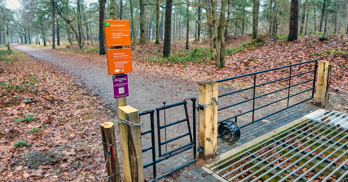 Oosterhout wil betere toegang bos Dorst, met poorten die wél geschikt ...