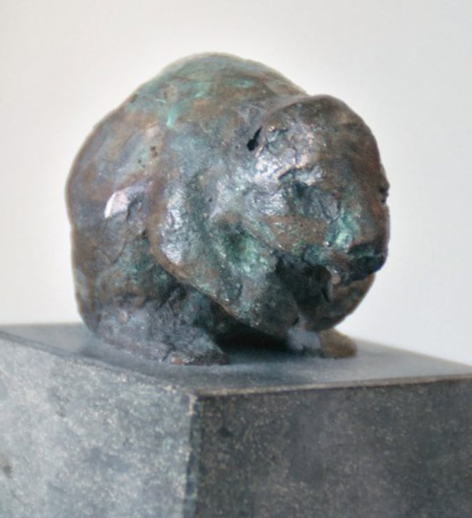 Juul van Meel uit Made krijgt Bronzen Bever voor jarenlange inzet in ...