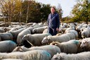 De lammetjes dartelen weer, maar deze lente maken schapenhouders Bart en John zich grote zorgen ...