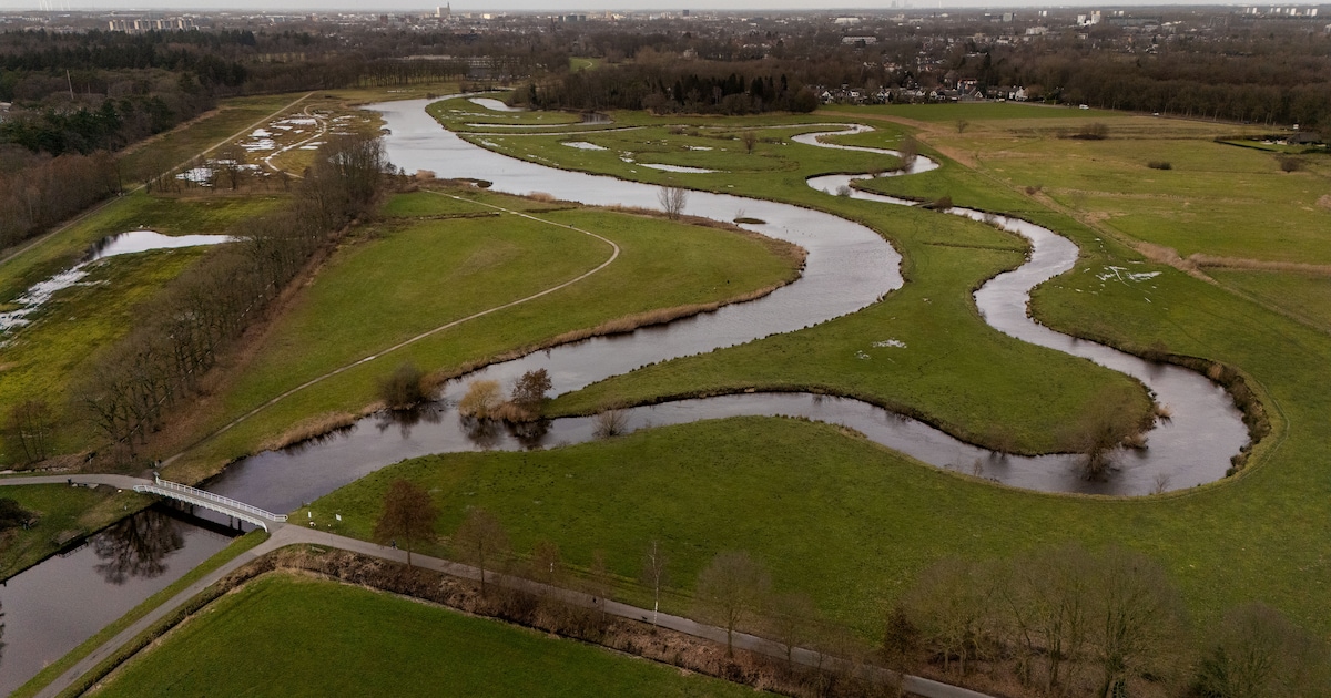 Waarom de Mark opnieuw gaat kronkelen: 150 hectare natuur erbij en ...