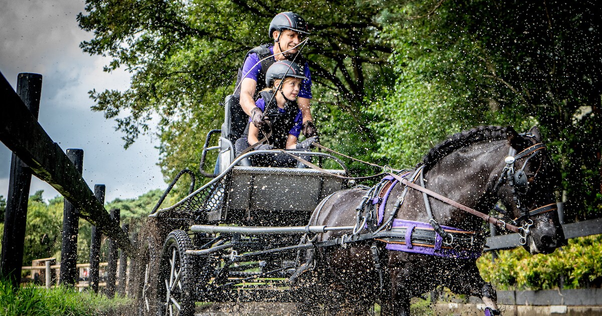 Juul (9) uit Bavel is een van de jongste menners: ‘Stiekem vind ik dit ...