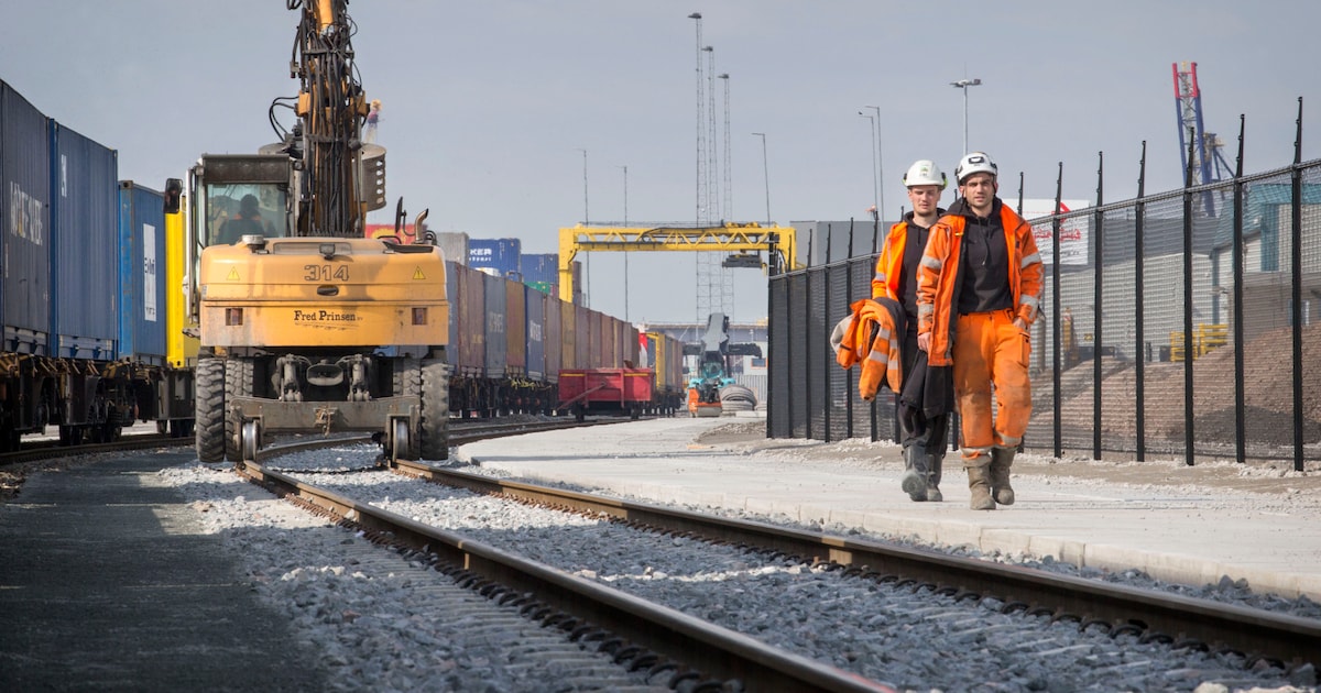 Meer treinen op Moerdijk dankzij nieuwe spoorterminal: ‘Sinds de ...