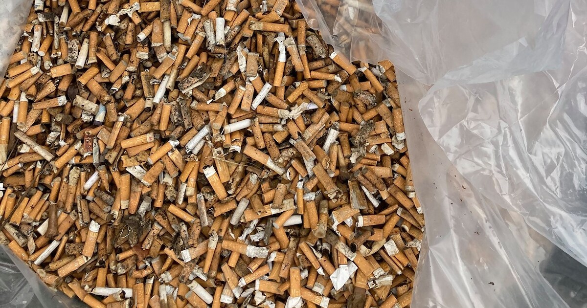 Oosterhout gaat peuken rapen: ‘Vaak hoef je alleen maar even te bukken ...