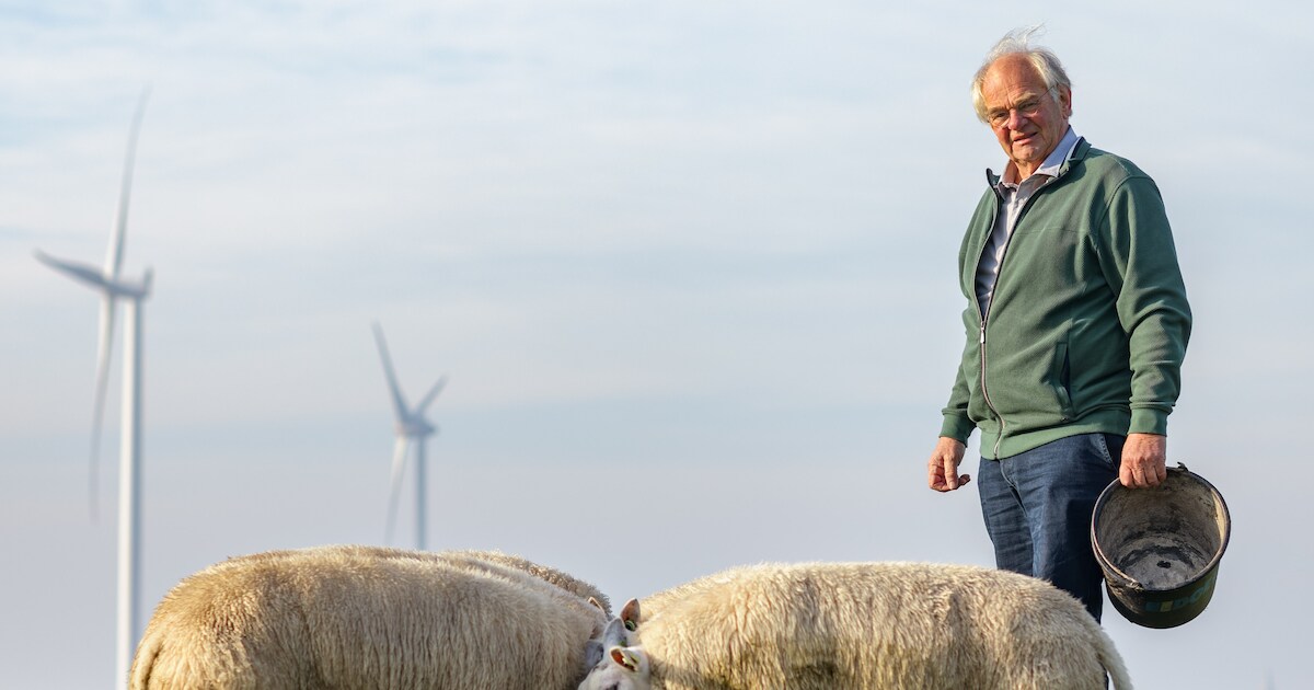 Michaël Daamen hoort graag stem van burger: ‘Wat schieten wij hier op met projecten als LPM en ...