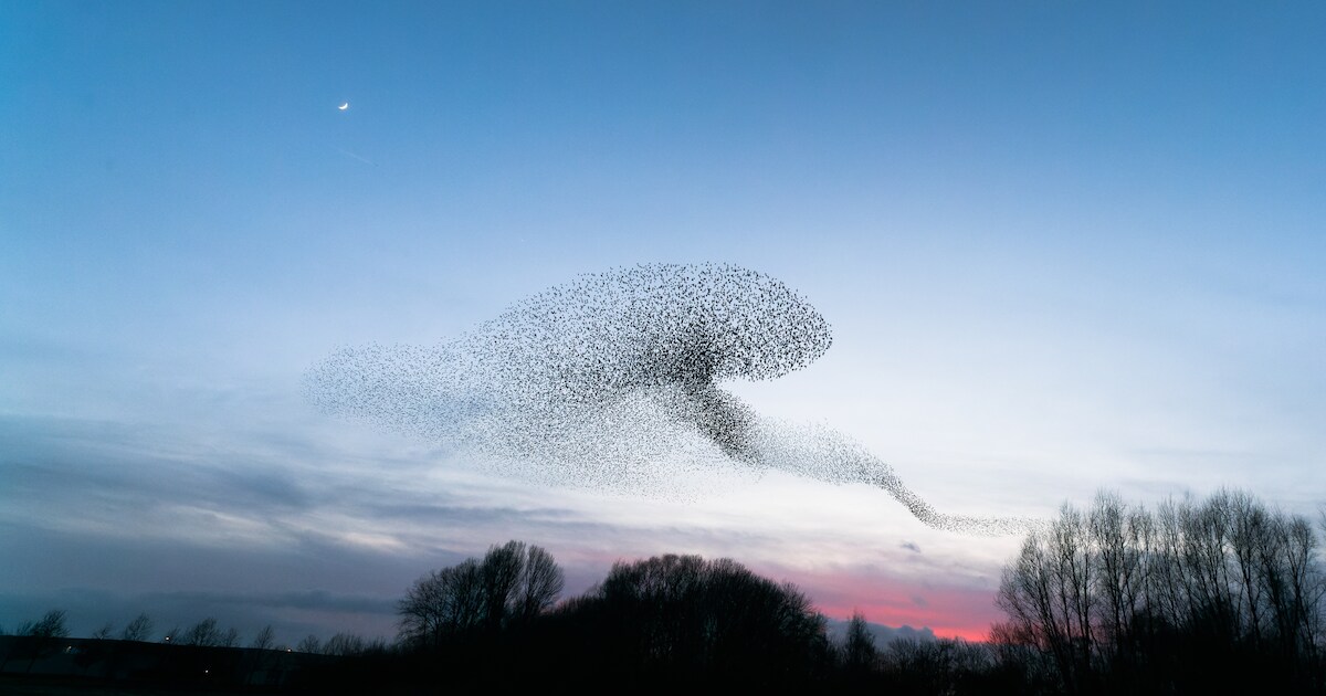 Een vliegshow waar niks aan kan tippen: dit is de tijd om een ...