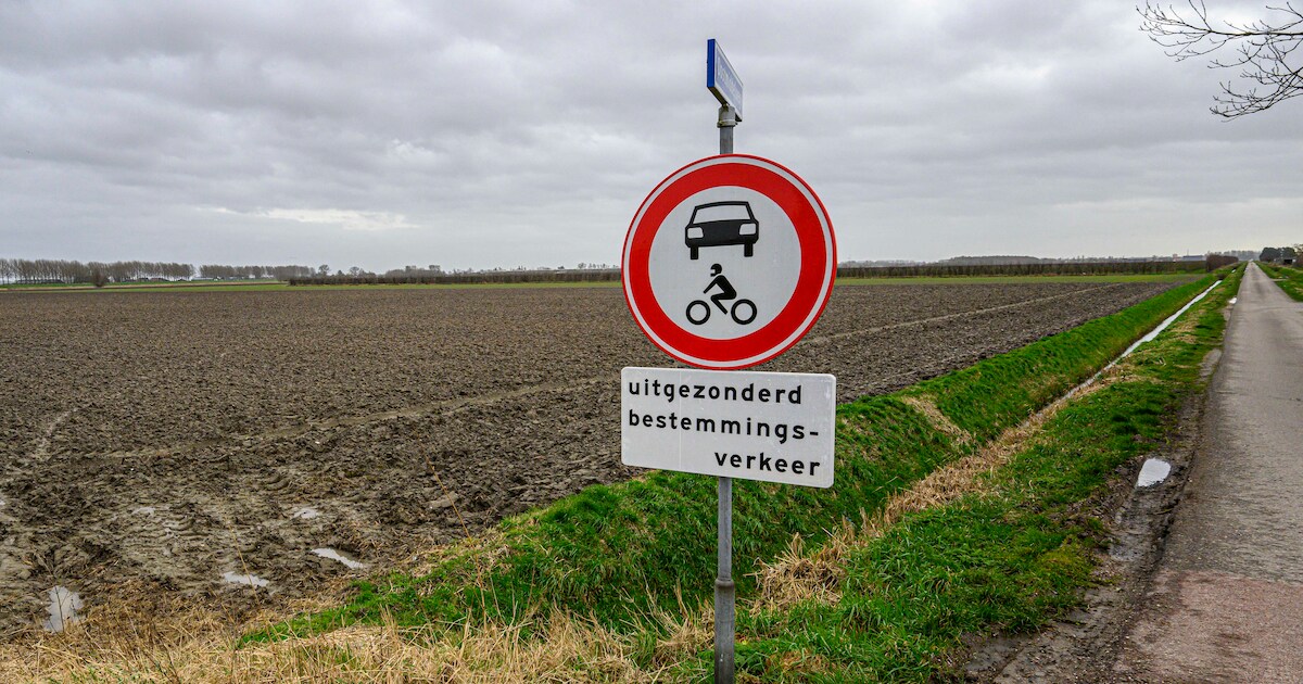 Op vakantiepark in Willemstad zijn straks elke dag 2000 gasten, inwoners bezorgd: ‘Bijna net ...