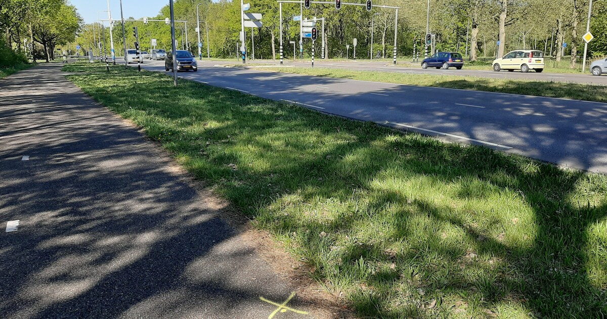 Rik (18) was bijna op zijn werk in Oss toen dodelijk geweld hem trof ...