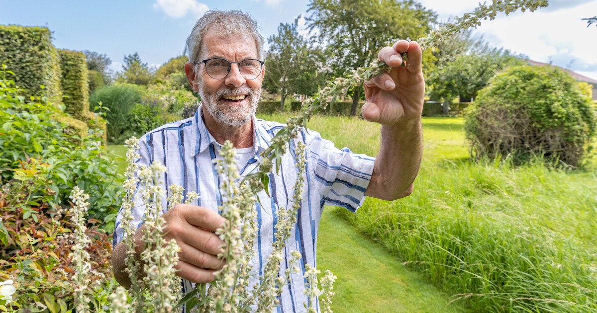 Zelfs bussen met Duitsers, Belgen en Zwitsers komen de tuin van Jan ...