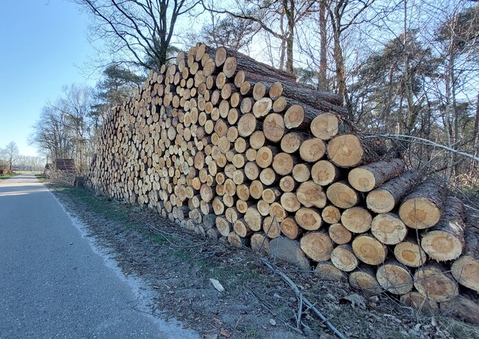 Waarom liggen er stapels boomstammen langs de weg in de gemeente Eersel ...