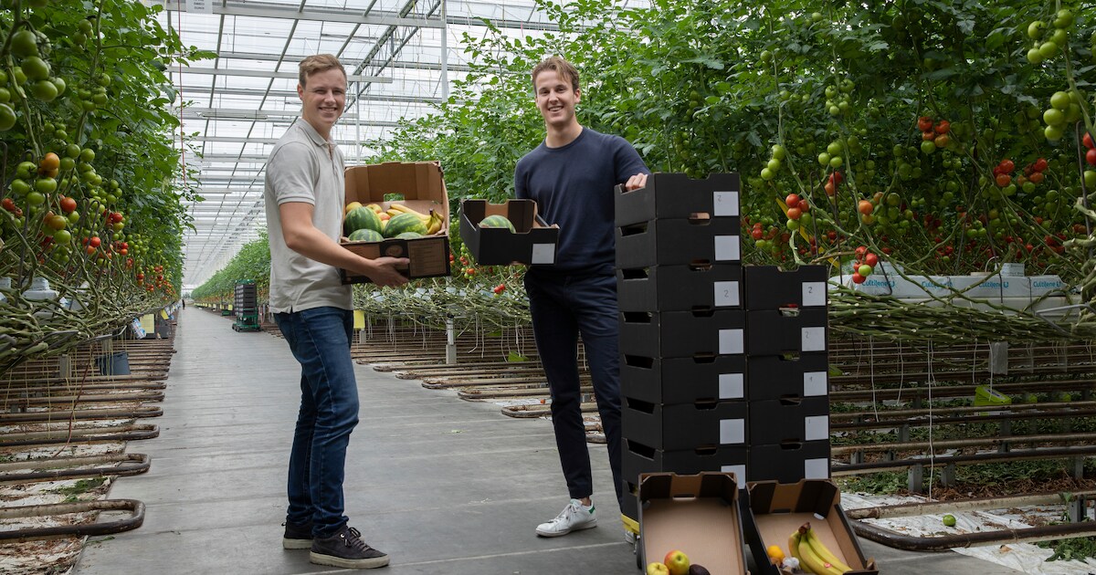 Mace en Tim (20) verkopen fruitabonnementen: ‘Vet om zoveel mensen van ...