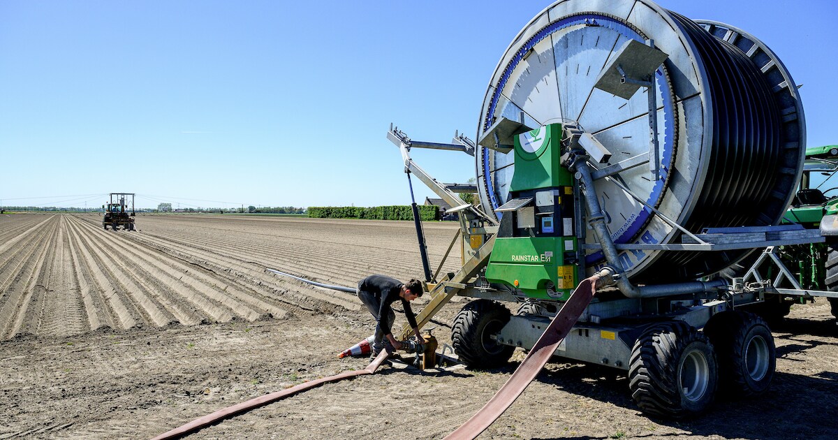 Recorddroogte dreigt opnieuw: waarom boeren water opslaan en kiezen ...