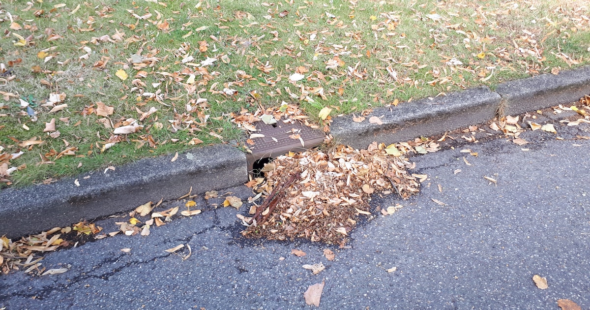 Reiniging kolken in Vught van start: dit zijn de straten en data ...